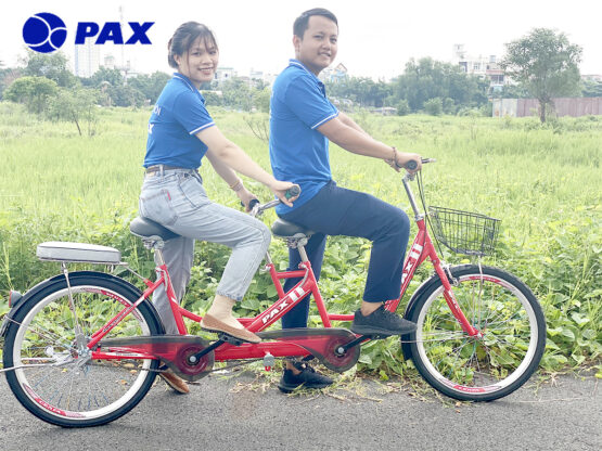 GIÁ XE ĐẠP ĐÔI CŨ TRÊN THỊ TRƯỜNG HIỆN NAY - XE ĐẠP ĐÔI
